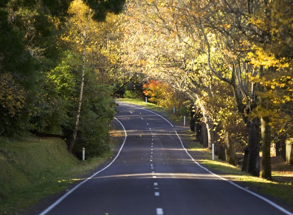 Mount Macedon Victoria - A picturesque drive - Photo by David Hannah
